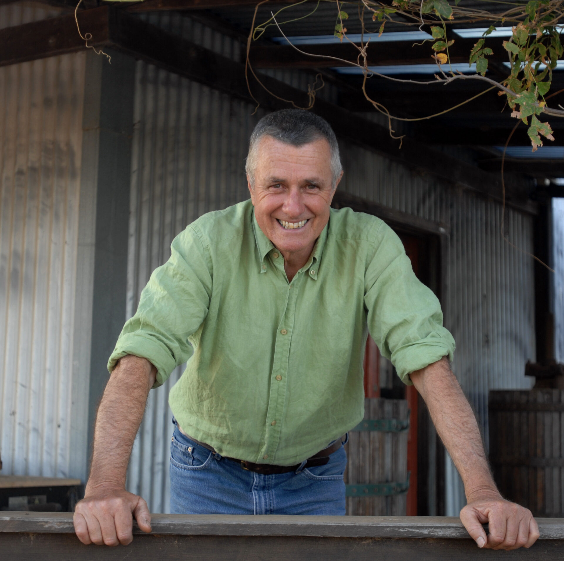 Freeman Vineyards | HILLTOPS ‘LITTLE ITALY’ ON THE AIR